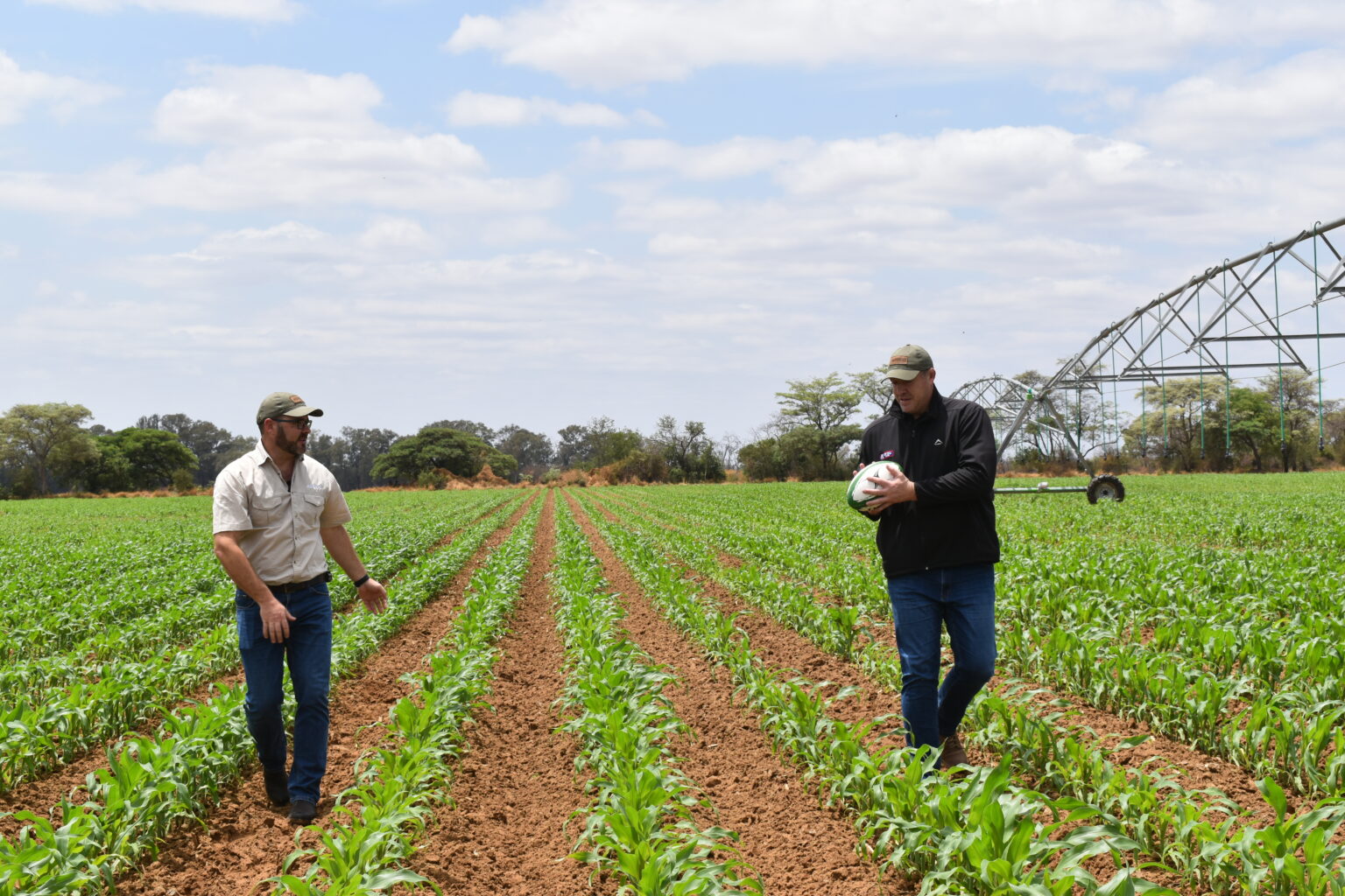 Springbok icon Bakkies Botha continues to thrive in farming with Agrico ...